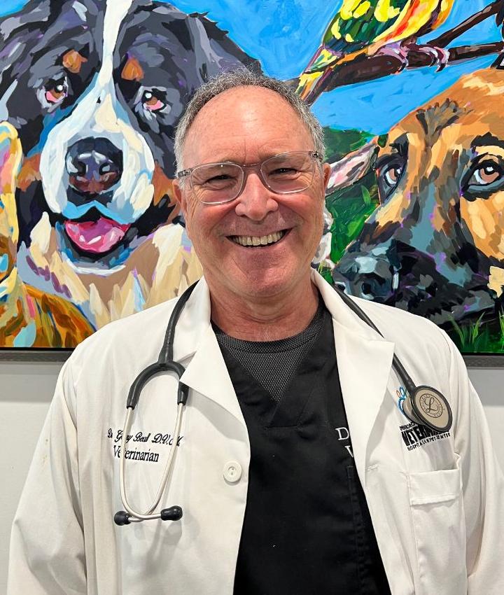 Home | Springboro Veterinary Hospital | Springboro